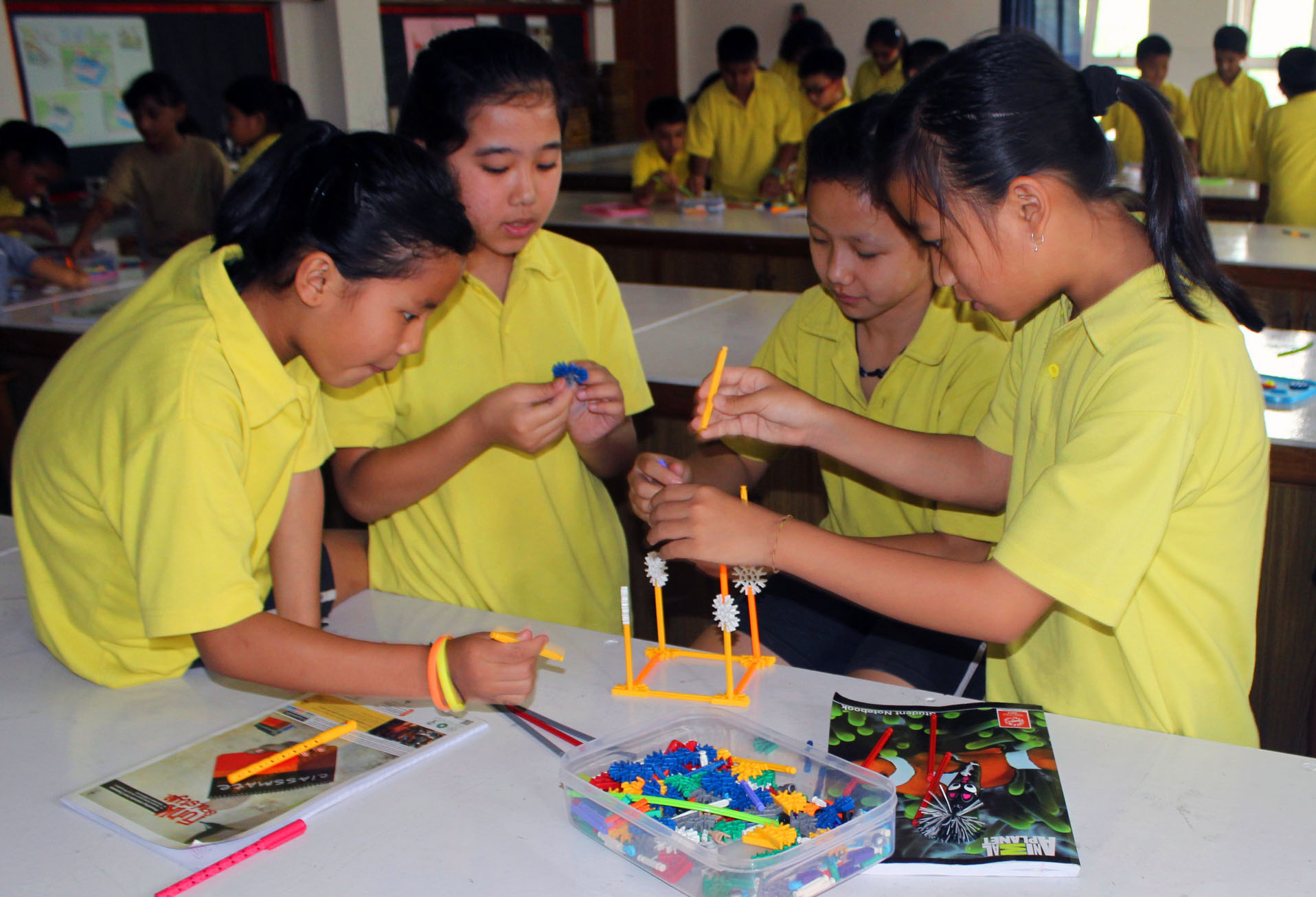 Educational Programs - International Programs | Domestic Programs